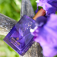 Molinard Parfums